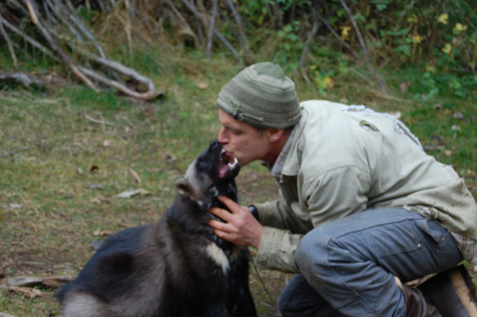 Wolverine Kiss - Kroschel Wildlife Center